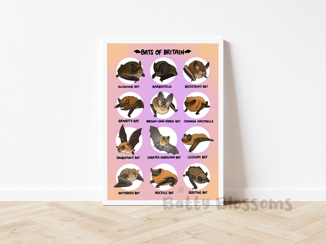 Bats of Britain Print – Batty Blossoms