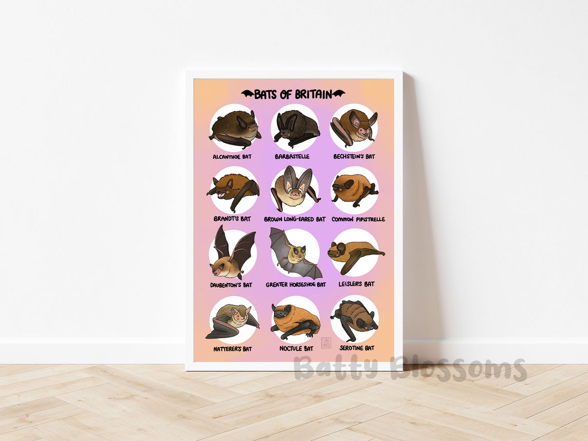 Bats of Britain Print – Batty Blossoms